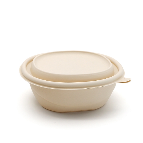 Salad To Go Containers with Lids for Lunch | Luzhou Pack